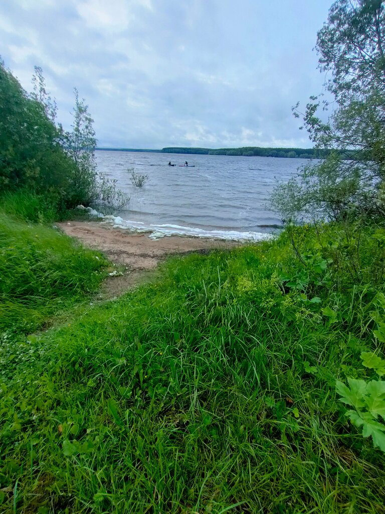 Plaj Пляж, Moskova ve Moskovskaya oblastı, foto