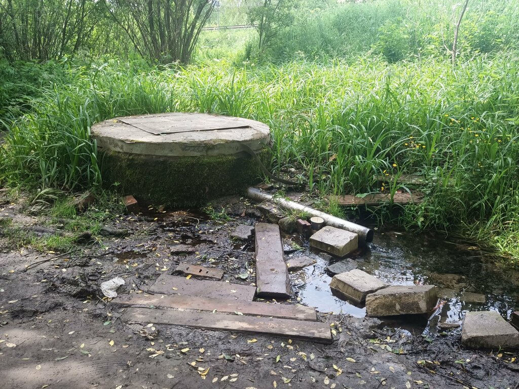 Pınar, çay Spring, stream, Moskova ve Moskovskaya oblastı, foto
