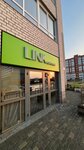 Link Kitchen (No:20, 3-y mikrorayon, rabochiy posyolok Krasnoobsk), kafe  Novosibirskaya oblastından