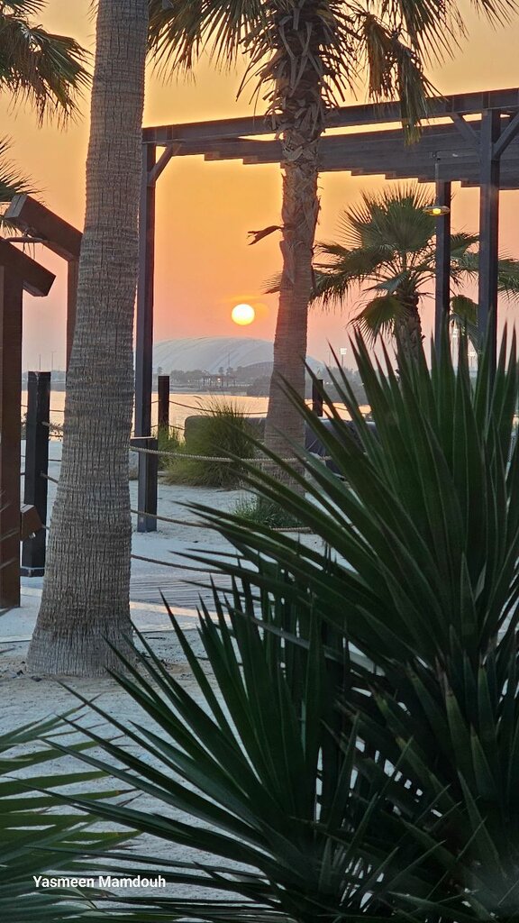 Kiralama noktası Marsana Hudayriyat Island, Abu Dabi, foto