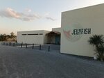 Jellyfish Beach Club (Isahak Gasparyan Street No:34, Yerevan), kafe  Erivan'dan