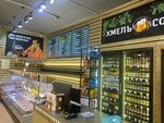 Хмель Солод (Granichnaya ulitsa No:16с1, Olgino Microdistrict), bira dükkanı  Balaşiha'dan