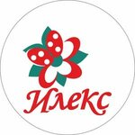Ileks (Yuzhny proyezd No:224), çiçekçiler  Samara'dan