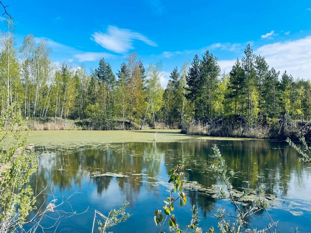 Bahçecilik dernekleri ve kuruluşları Химик-4, Moskova ve Moskovskaya oblastı, foto