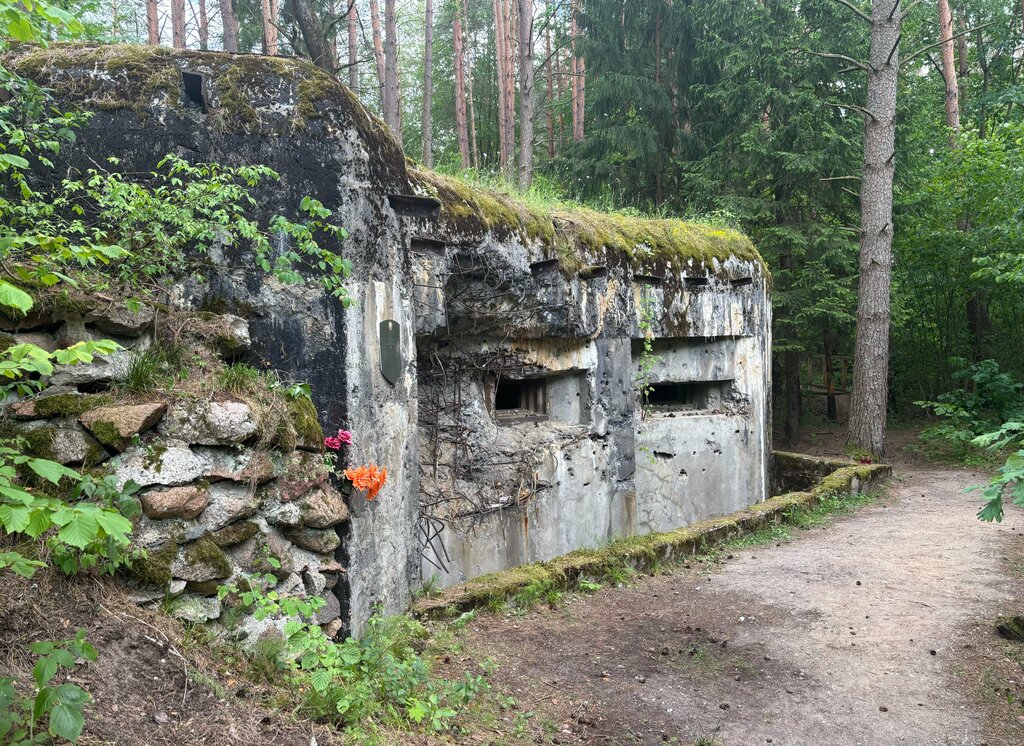 Turistik yerler Пушечный ДОТ со следами боев 1941 года, Grodnenskaya oblastı, foto