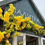 Palitra (ulitsa Lenina No:78/1), çiçekçiler  Primorsko‑Ahtarsk'tan