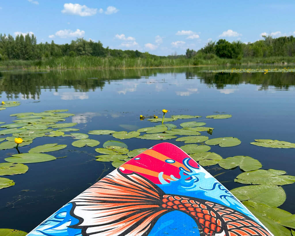 Tatil köyleri Турбаза Ветерок, Saratovskaya oblastı, foto