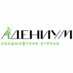 Адениум (Murmansk Highway No:26), peyzaj tasarımı