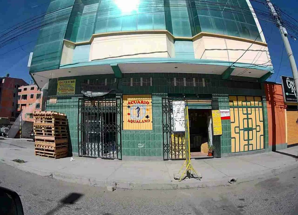 Otomobil yedek parçaları Autopartes, El Alto, foto