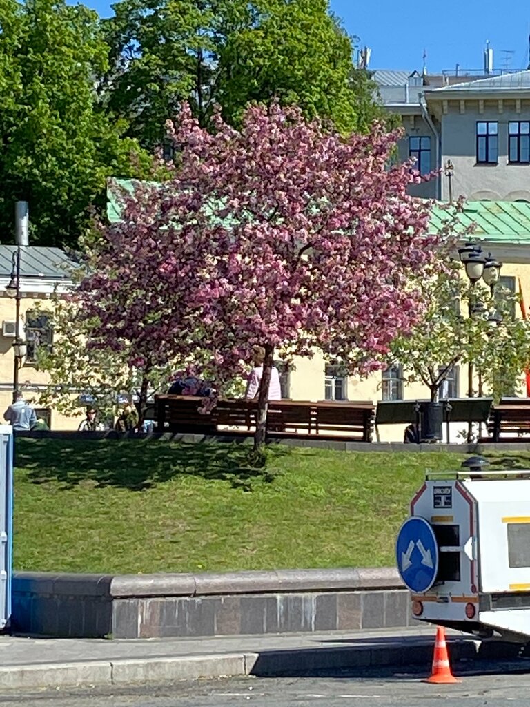 Turistik yerler Дом Румянцева, Moskova, foto