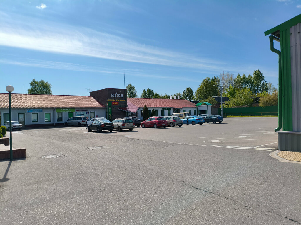 Soba, şömine Печка, Vitebsk, foto