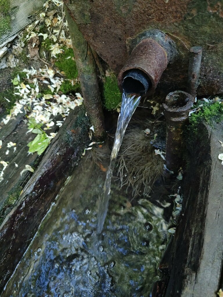 Pınar, çay Spring, stream, Volgograd, foto