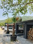 Yeşil Mavi Sosyal Tesisleri (Yalova, Çınarcık, Teşvikiye Beldesi, Karşıyaka Mah., Yayla Cad., 15), restoran  Çınarcık'tan
