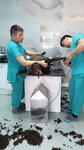 Woof Veteriner Kliniği (İstanbul, Çekmeköy, Reşadiye Cad., 17), veteriner klinikleri  İstanbul'dan