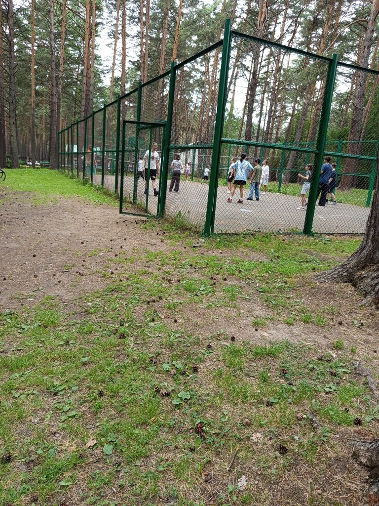 Spor alanı Баскетбольная площадка, , foto