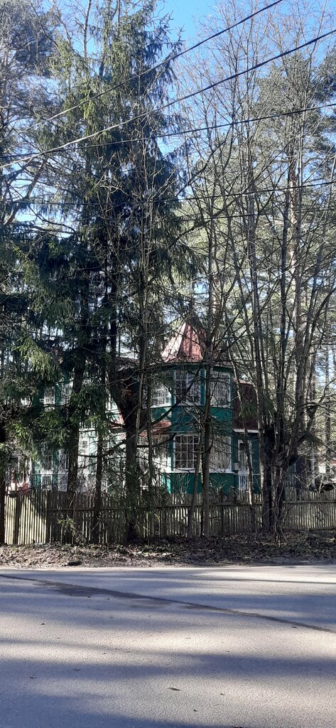 Turistik yerler Дача хирурга Ф. Углова, Saint‑Petersburg, foto