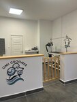 Umi Groomer & Pet Kuaför Salonu (Antalya, Alanya, Damlataş Cad.), evcil hayvan kuaförleri  Alanya'dan