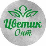 Цветик (ulitsa Lenina No:30), çiçekçiler  Anjero‑Sudjensk'ten