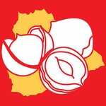 Фундук (Кипарисовая аллея No:2Б), kuruyemiş, atıştırmalık, kuru meyve  Sudak'tan