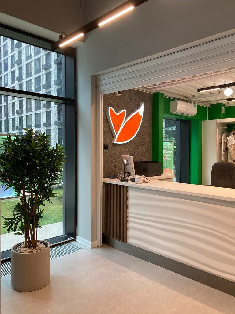 Kuru temizlemeciler Лисичка, Moskova, foto