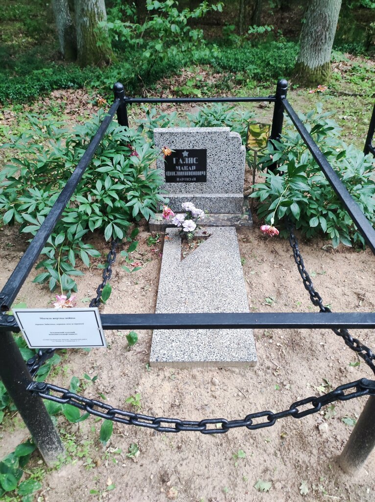 Anıt, heykel Могила героев партизанов Второй мировой войны, Grodnenskaya oblastı, foto