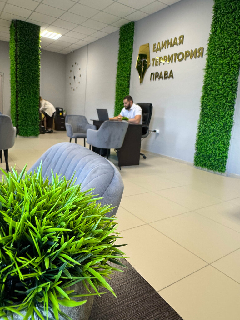 Hukuk büroları Yedinaya Territoriya Prava, Orenburg, foto
