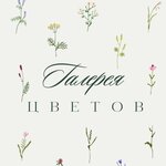 Flower Gallery (Internatsionalnaya ulitsa No:57), çiçekçiler  Miçurinsk'ten