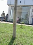 Gypsum (Addis Ababa, Nifas Silk-Lafto, Kebele 49), i̇nşaat malzemeleri toptan  Addis Ababa'dan