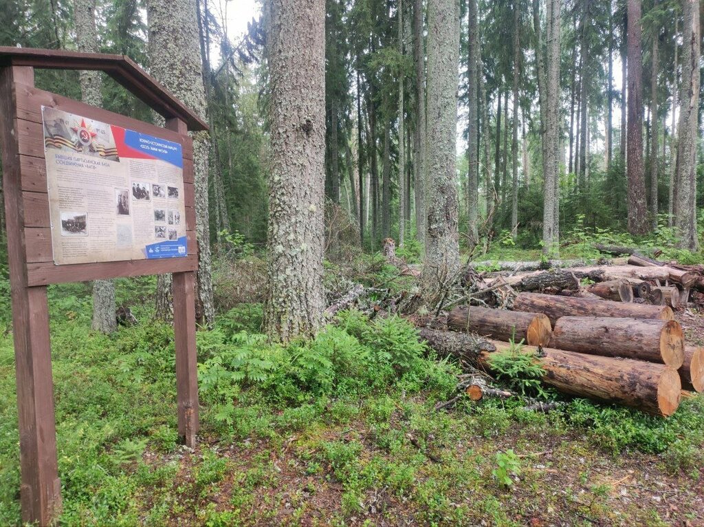 Kamp alanları Турстоянка Партизанские землянки, Smolenskaya oblastı, foto