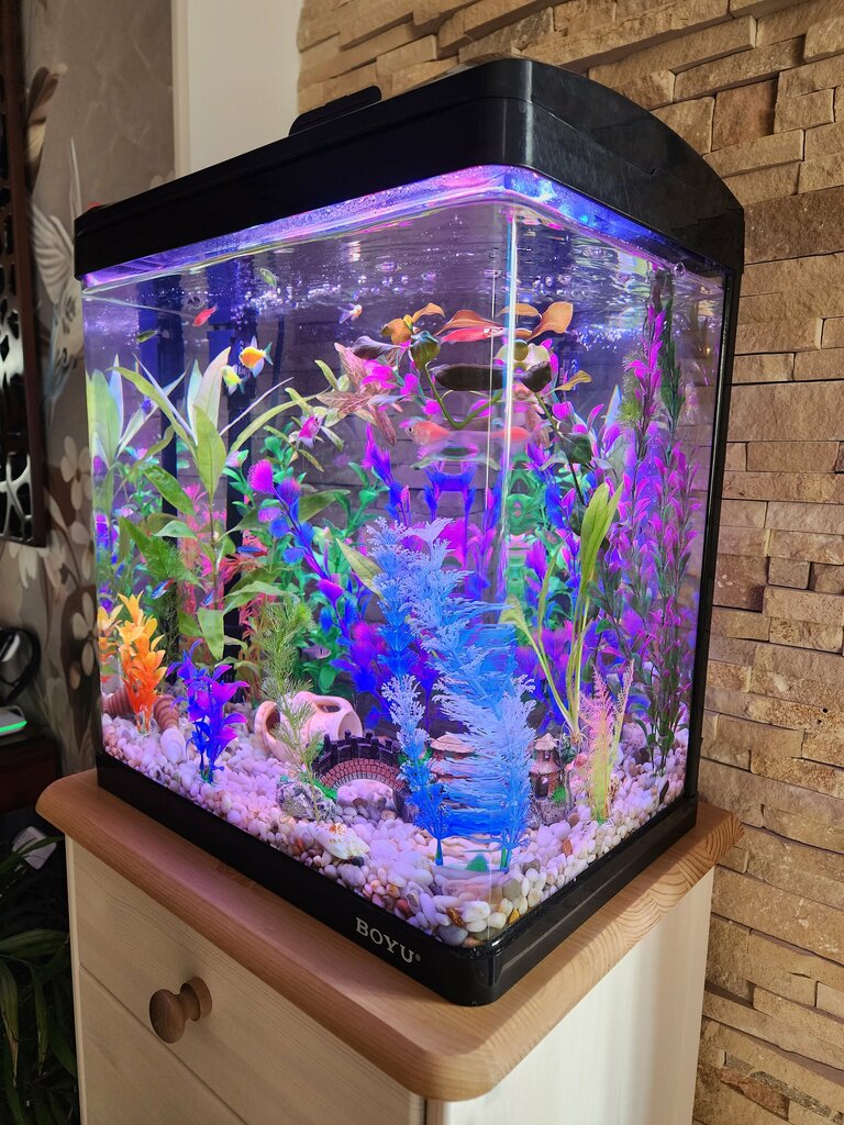 Petshop Zoosfera, Orenburg, foto