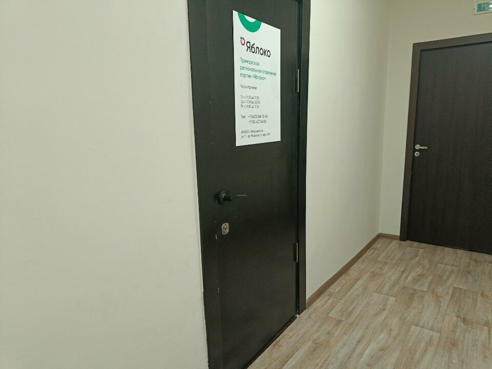 Siyasi partiler Яблоко, Vladivostok, foto