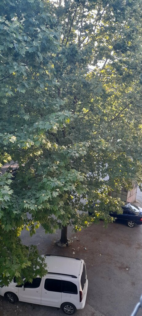 Örme üretimi Dicle triko, İstanbul, foto