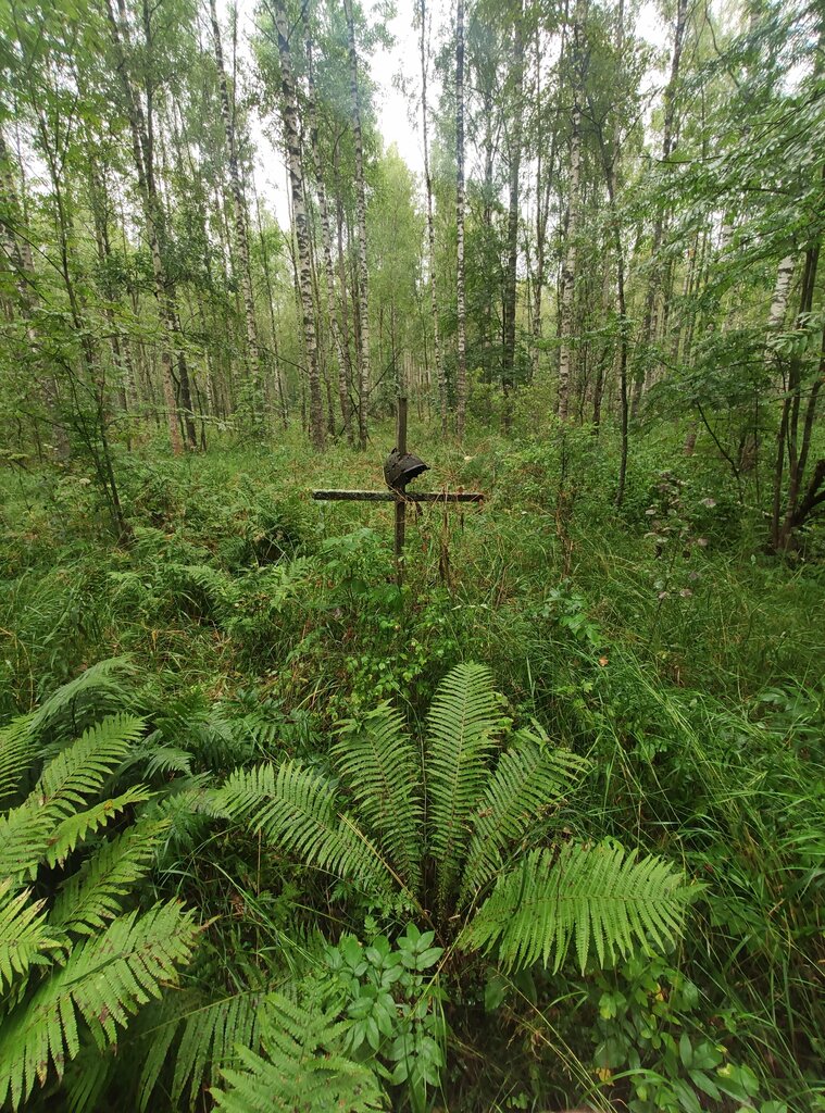 Unutulmaz olayların yeri Место обнаружения останков бойца Белова Григория Ивановича, Saint‑Petersburg ve Leningradskaya oblastı, foto