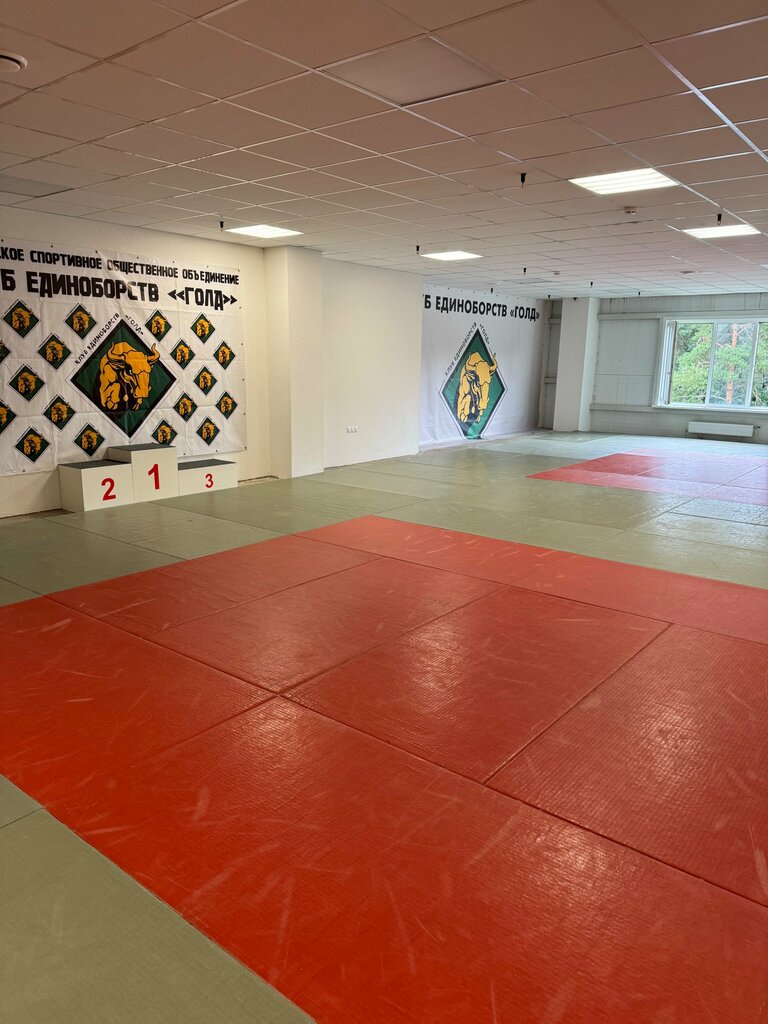 Spor kulüpleri Голд, Minsk, foto