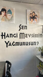 Deste Xatuni (Tunceli, Ovacık, Pulur Mah., Yeni Çarşı Cad., 9), yem ve yem katkı maddeleri  Ovacık'tan
