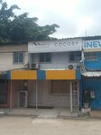 Mugef-ci (Rue des Papayers No:163, Cocody), dernekler, birlikler  Abican'dan