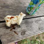 Тарасинская средняя общеобразовательная школа (ulitsa Lenina No:18, selo Tarasa), ortaokul  İrkutskaya oblastından