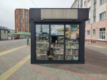 Магазин смешанных товаров (vulica Astrowskaga No:66, Magiliow), mini-market  Moguilev'den