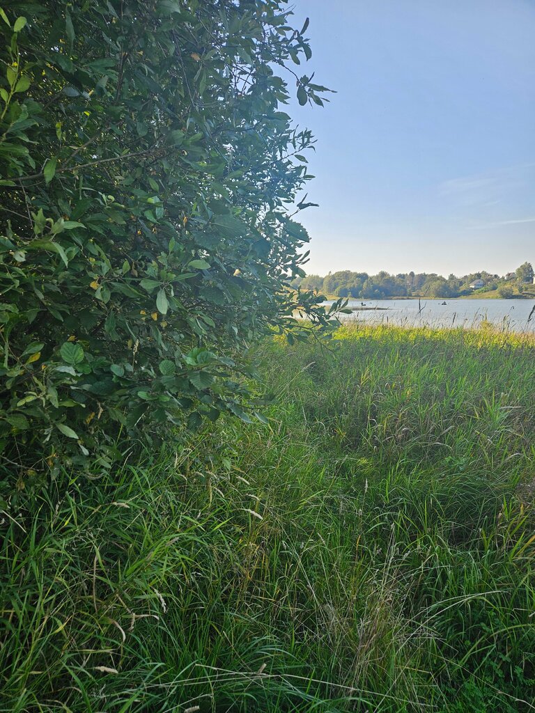 Plaj Пляж, Moskova ve Moskovskaya oblastı, foto