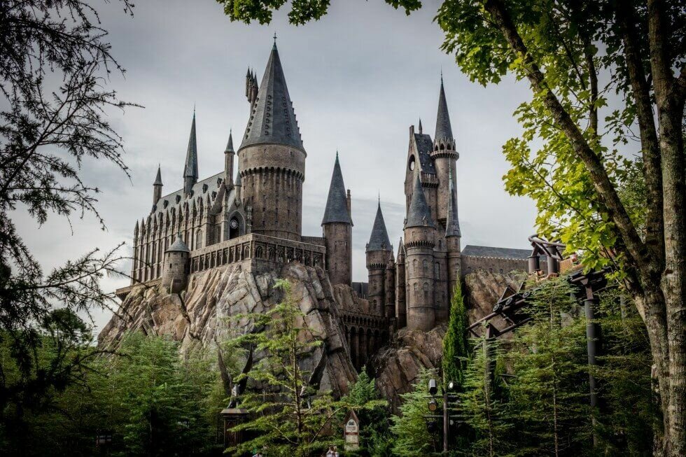 Çocuk gelişim merkezleri Hogwarts, Voronej, foto