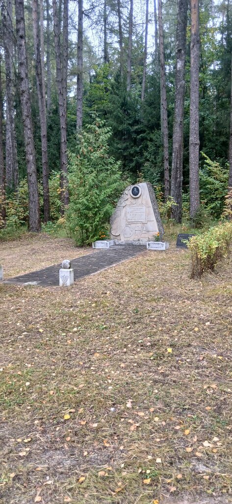 Anıt, heykel Карл Францевич Тюрмер, Vladimirskaya oblastı, foto