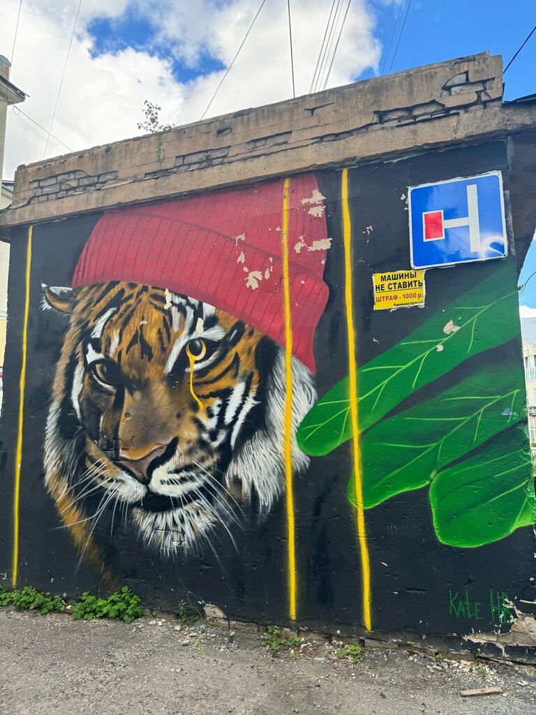 Sokak sanatı Тигр, Tver, foto