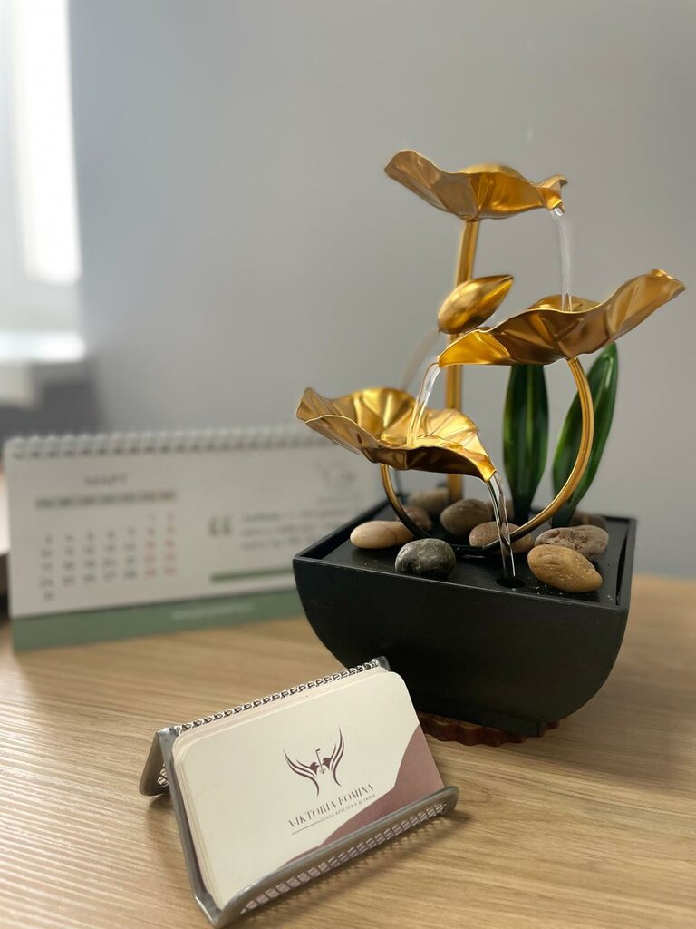 Gerçek kişilerin iflası Арбитражный управляющий Фомина В. А., Omsk, foto