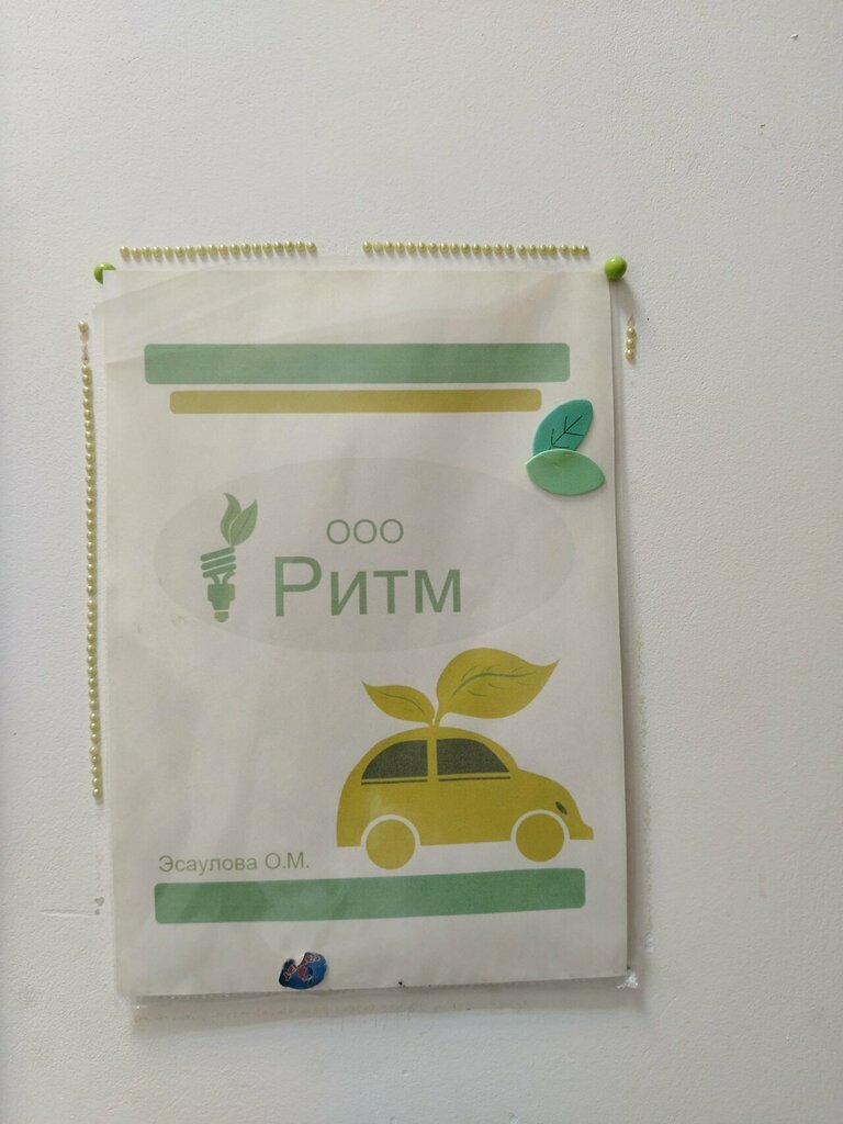 Çevre dernekleri Ritm, Kirov, foto