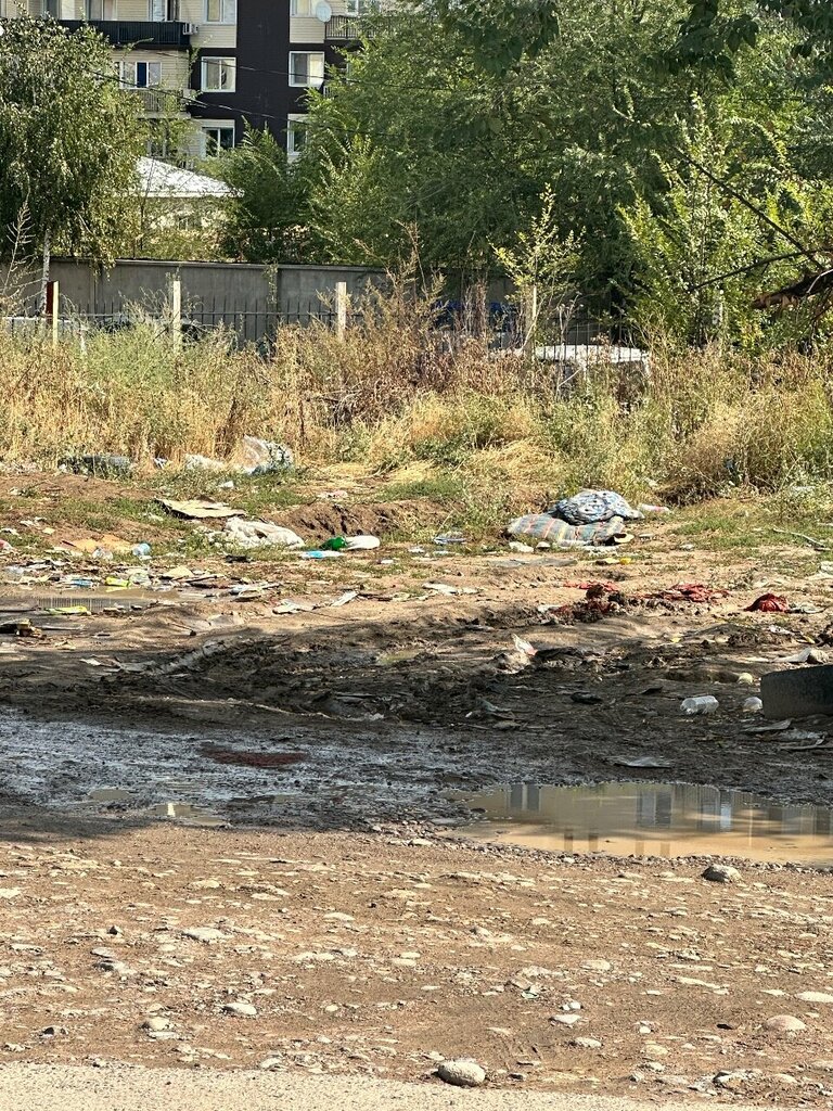 Manavlar Asyl Arman 2, Almatı eyaleti, foto