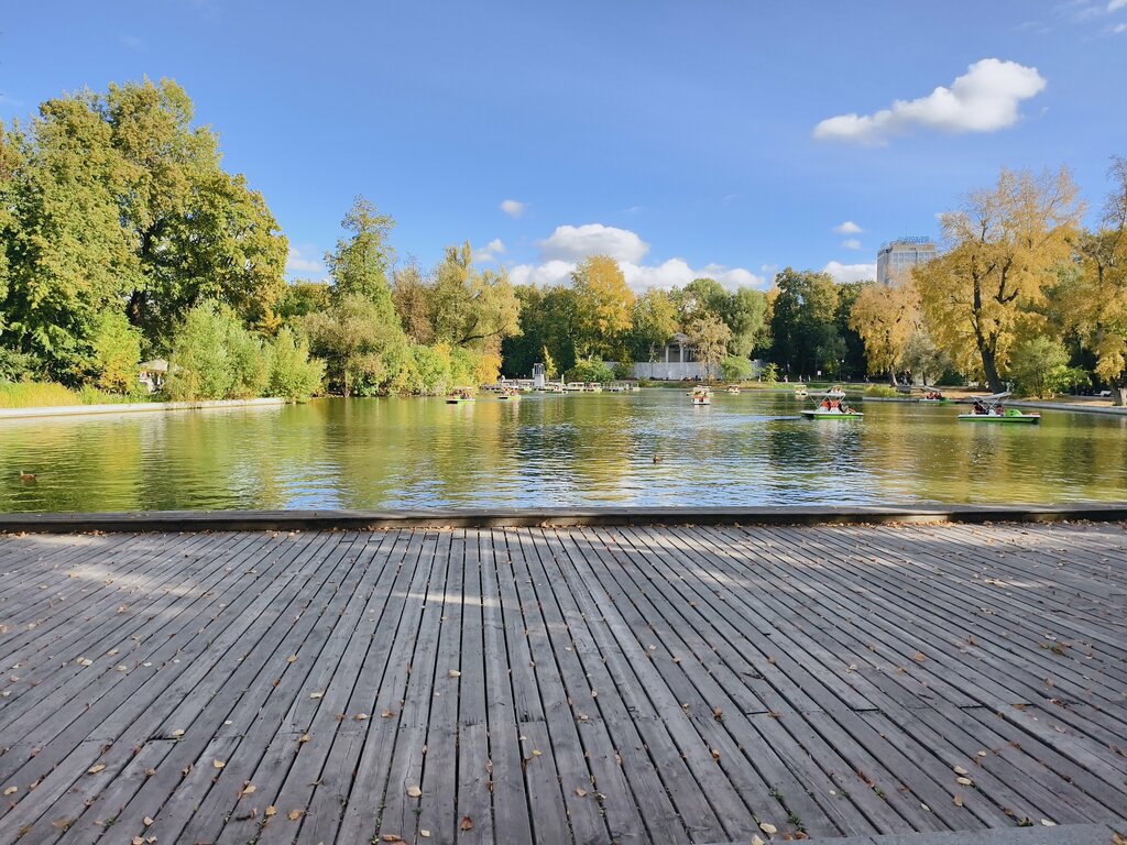 Plaj Пляж Lounge zone, Moskova, foto