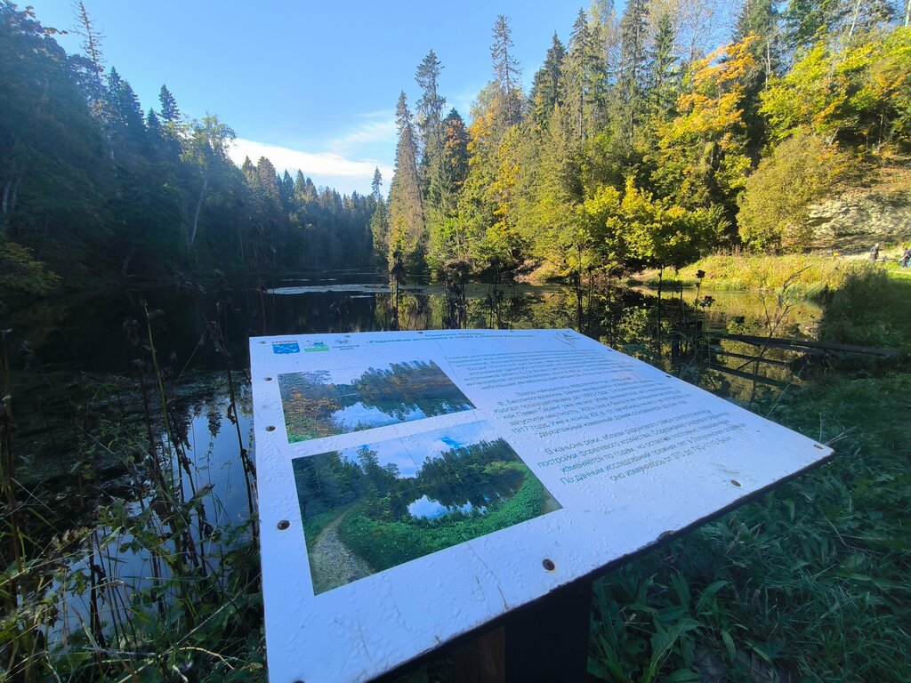 Çardak Gazebo, Saint‑Petersburg ve Leningradskaya oblastı, foto