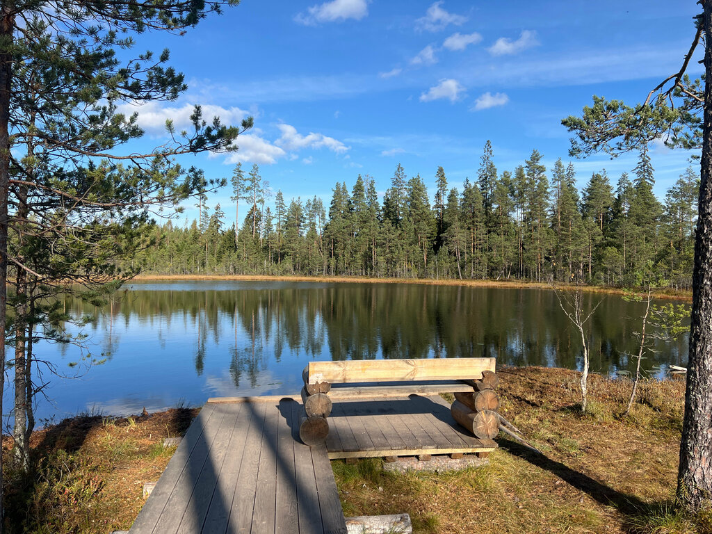 Seyir terası озеро Стайка Малое, Saint‑Petersburg ve Leningradskaya oblastı, foto