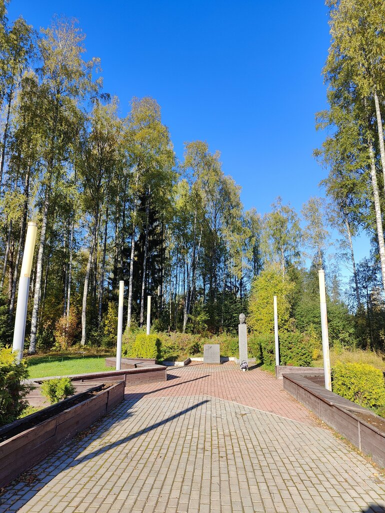 Anıt, heykel Герой Советского Союза П.А. Тикиляйнен, Suoyarvi, foto