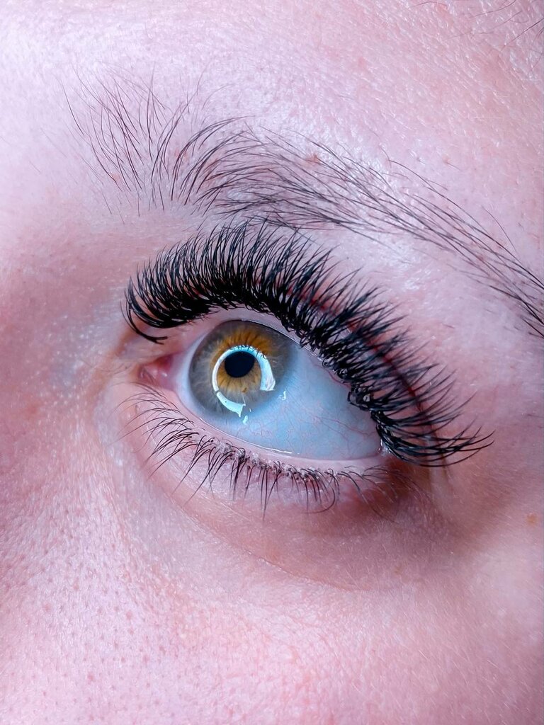 Güzellik salonu Lashkorneeva, Moskova ve Moskovskaya oblastı, foto